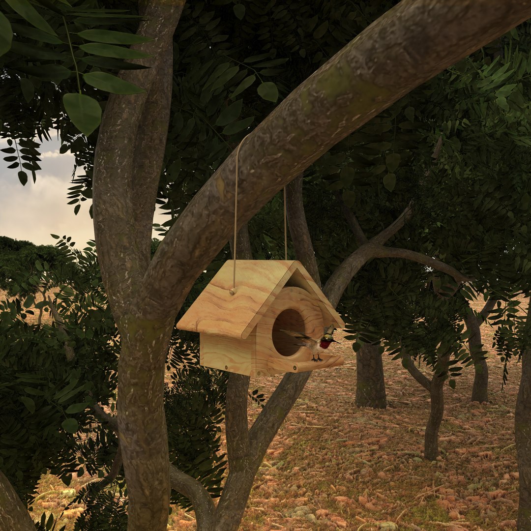 Bird Box 3D Model - TurboSquid 1488898