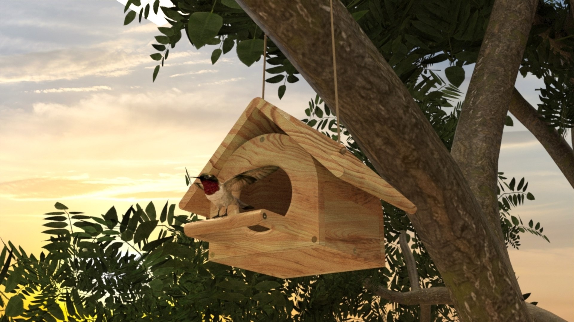 Bird Box 3D Model - TurboSquid 1488898