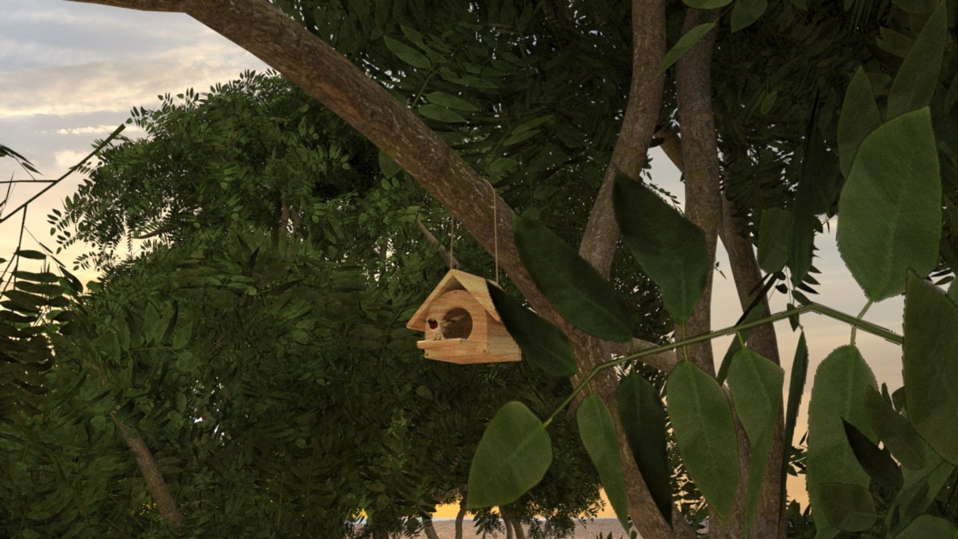 Bird Box 3D Model - TurboSquid 1488898