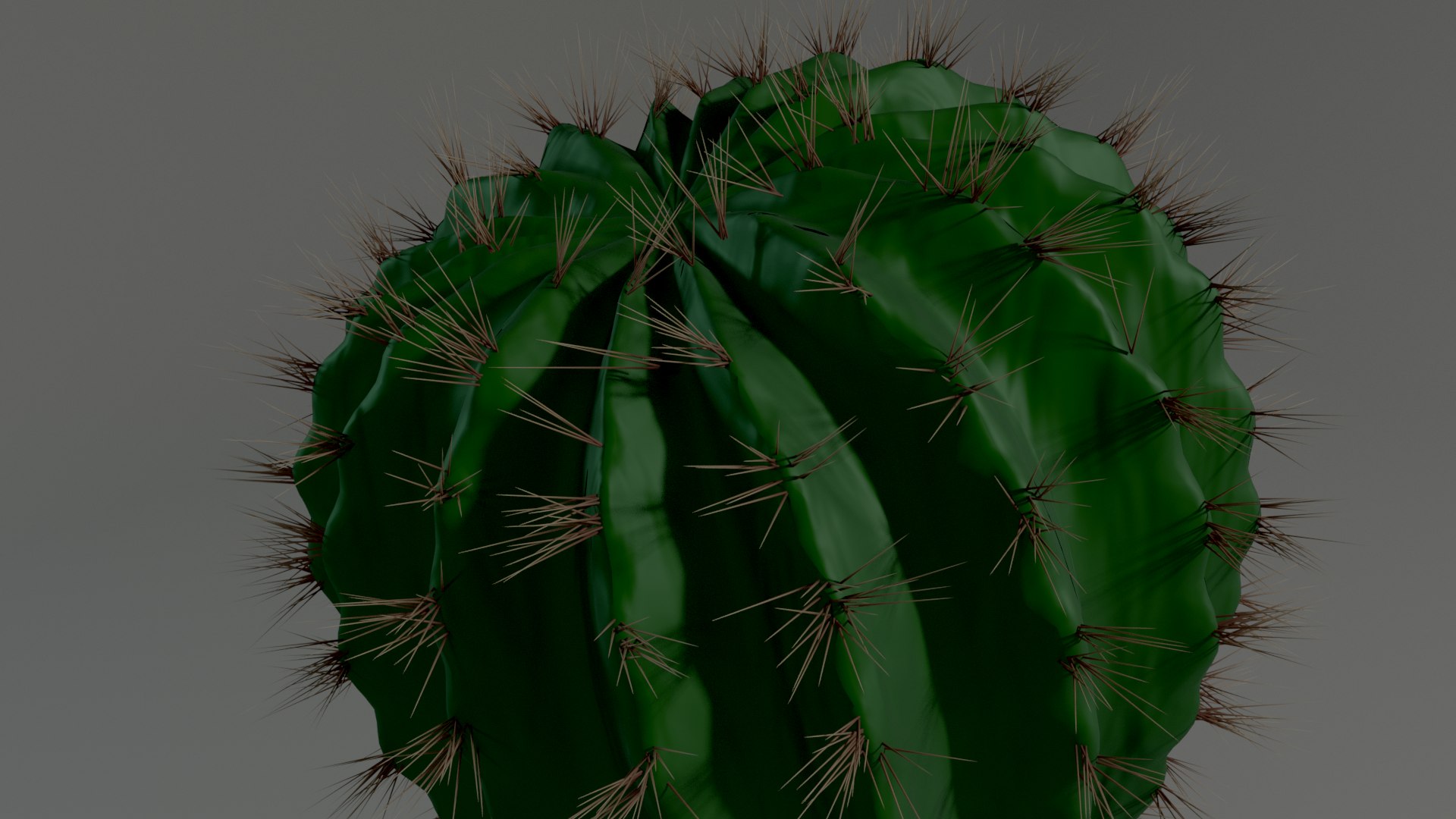 Cactus Pot 3D Model - TurboSquid 1292553