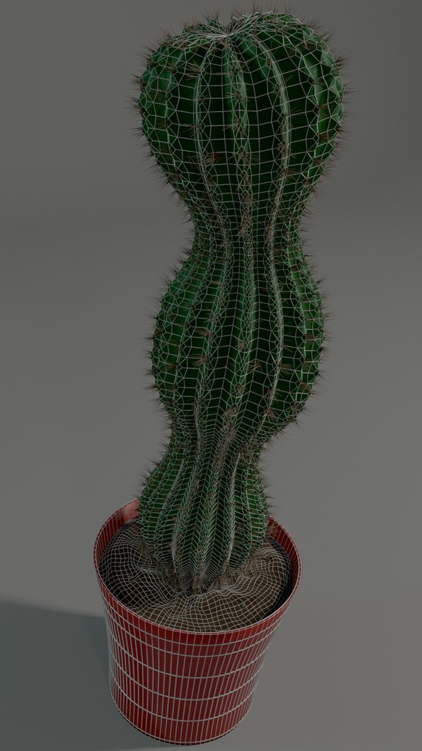 Cactus Pot 3D Model - TurboSquid 1292553