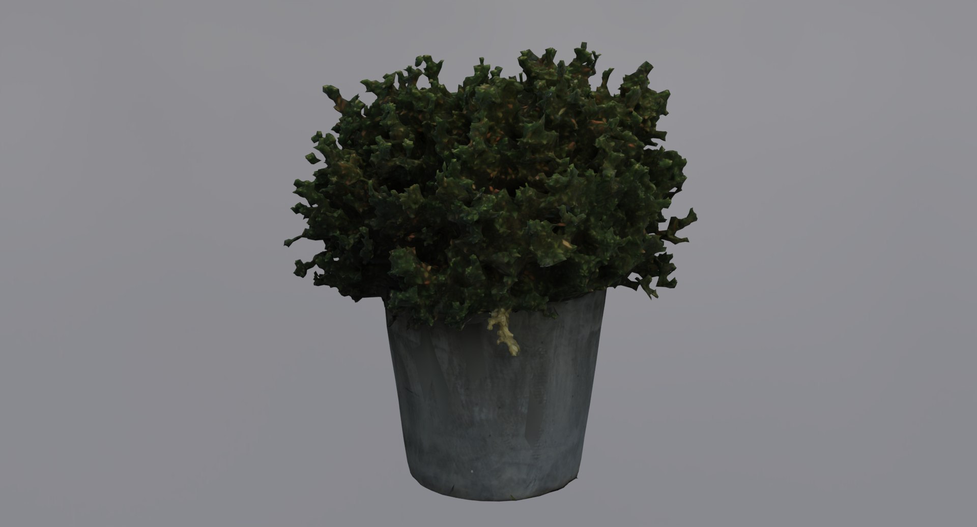 Flower Bush Pot 3D Model - TurboSquid 2094015