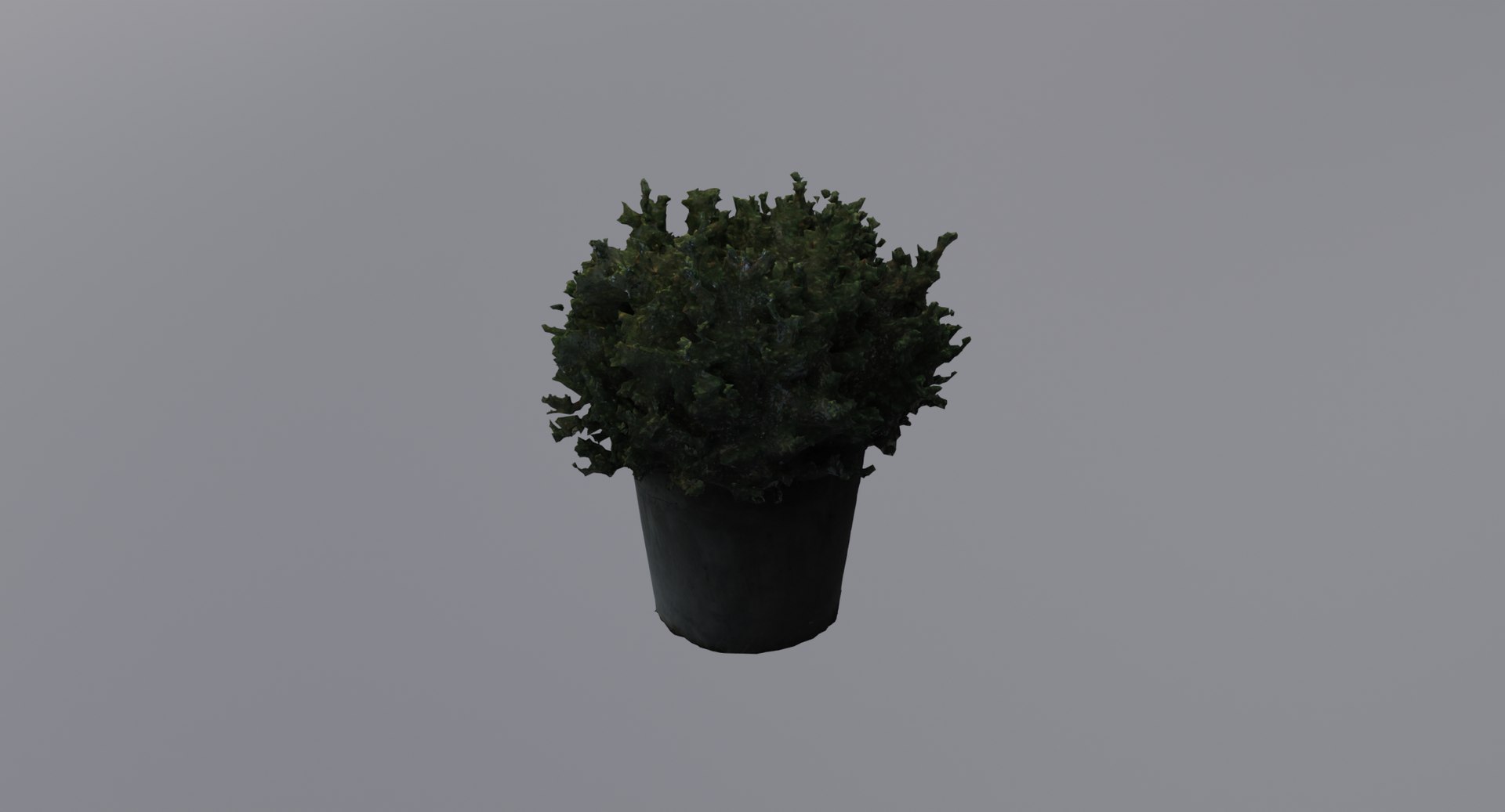 Flower Bush Pot 3D Model - TurboSquid 2094015