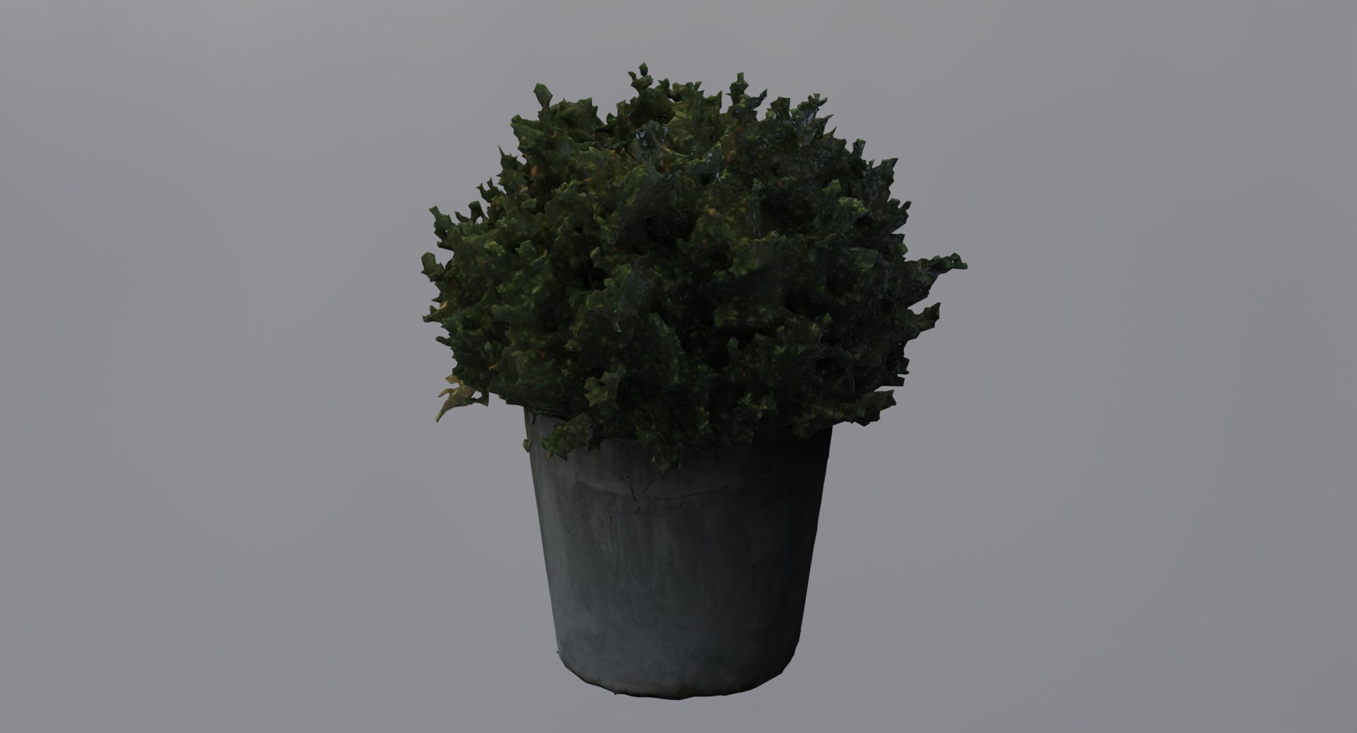 Flower Bush Pot 3D Model - TurboSquid 2094015