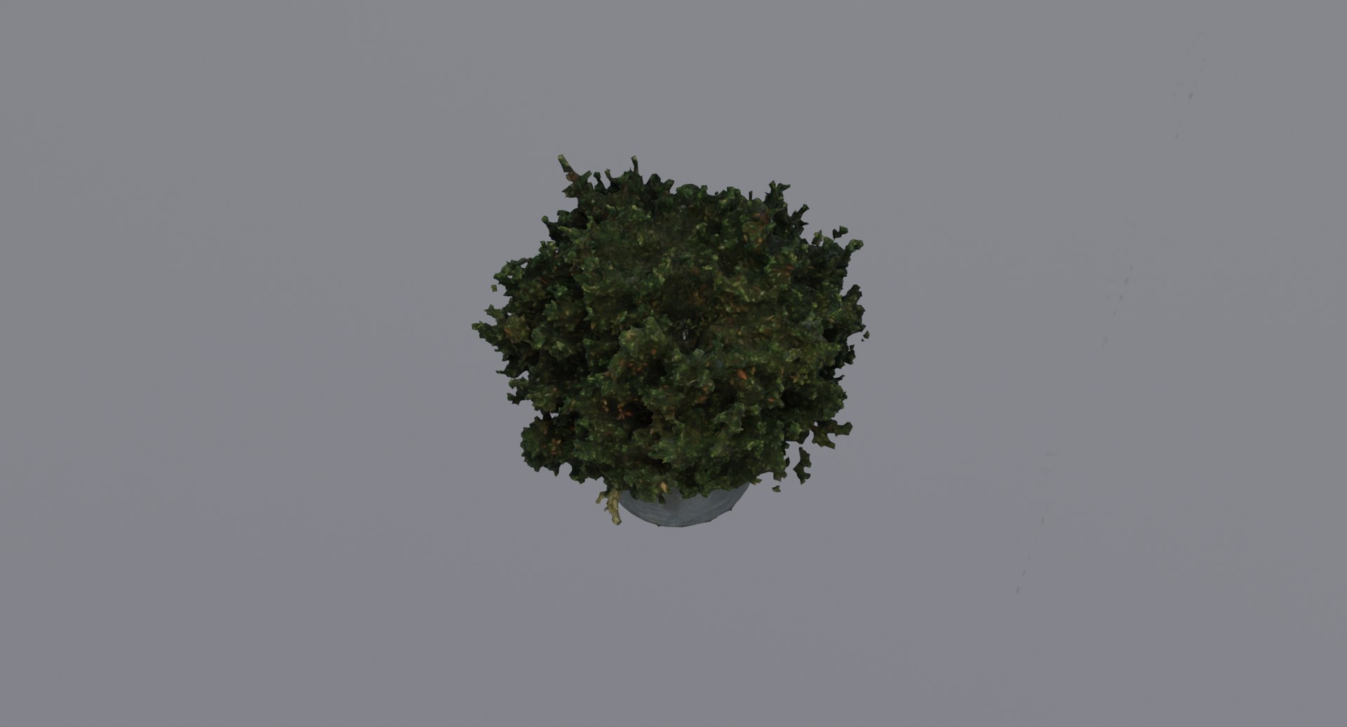 Flower Bush Pot 3D Model - TurboSquid 2094015