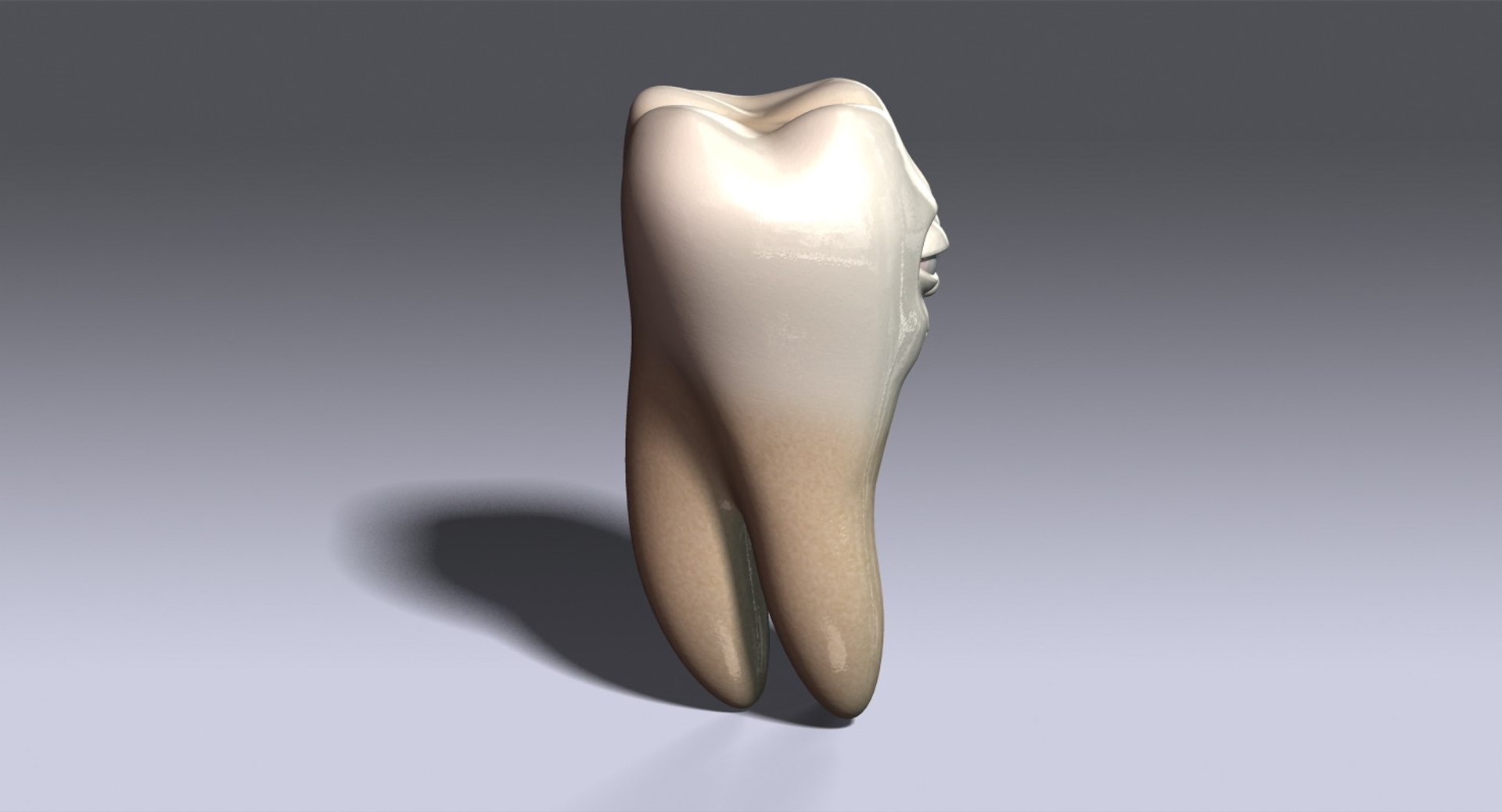 3d Model Tooth Cartoon Character