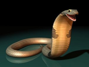 Cobra 3D Models for Download | TurboSquid
