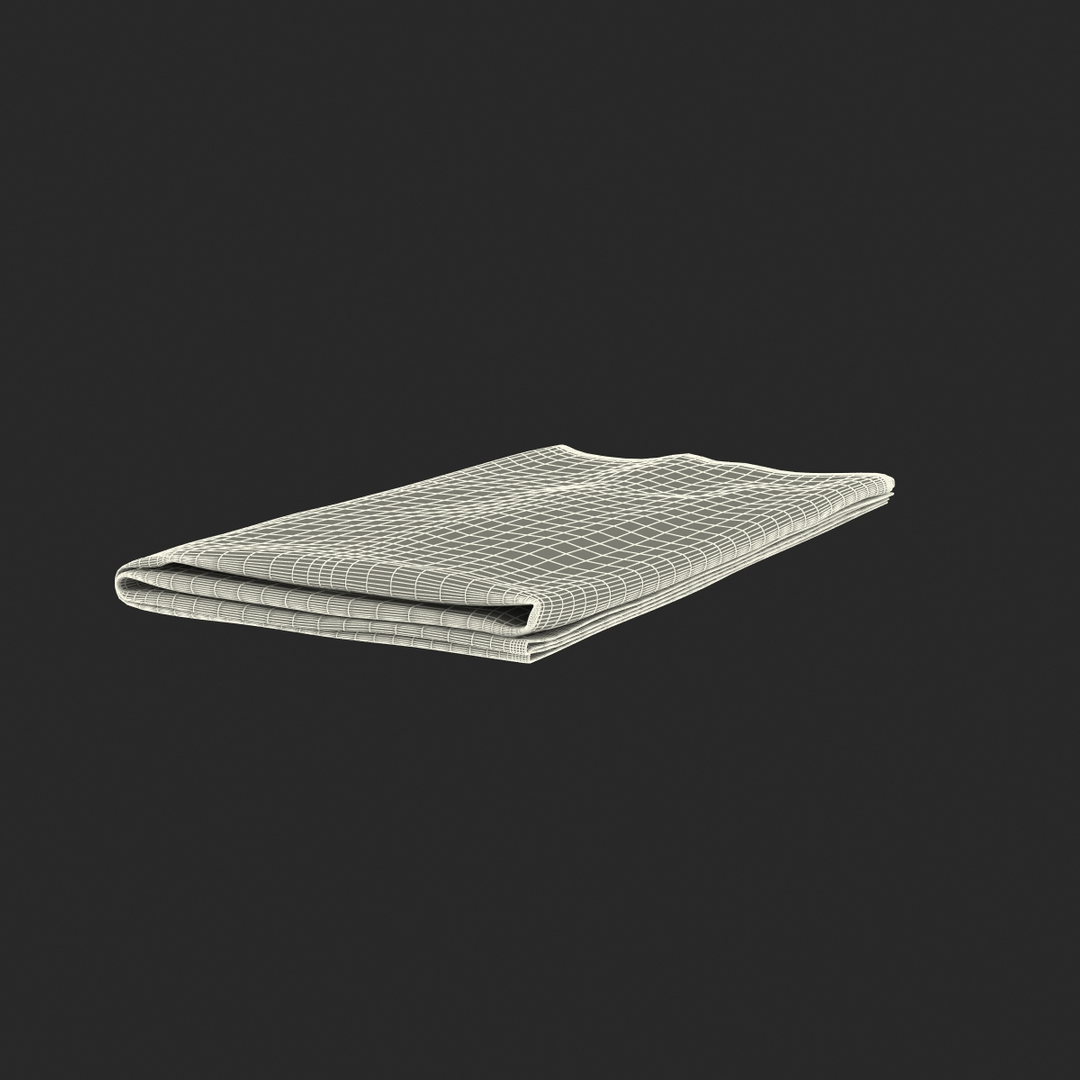 Napkin 2 3d Model