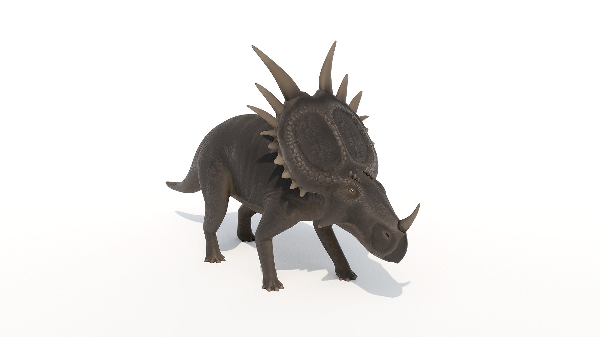 Styracosaurus 3D Model - TurboSquid 1896970