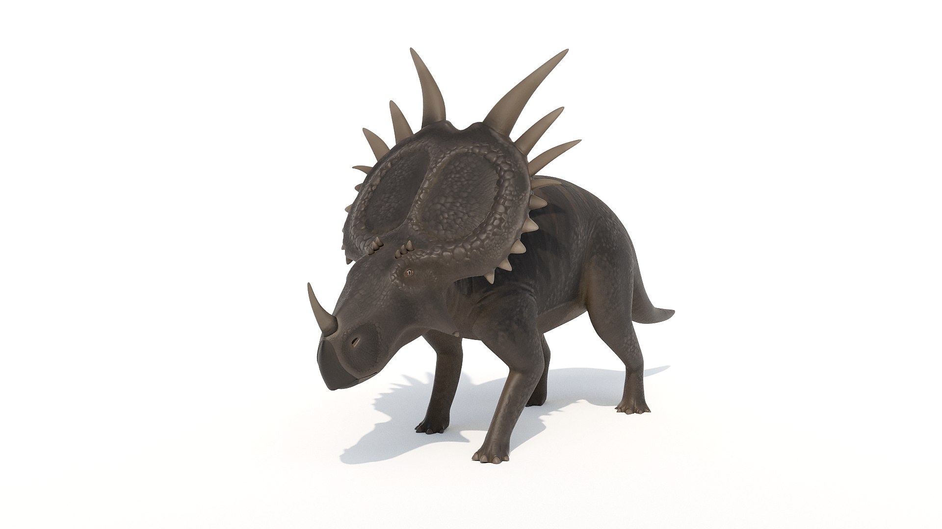 Styracosaurus 3D Model - TurboSquid 1896970