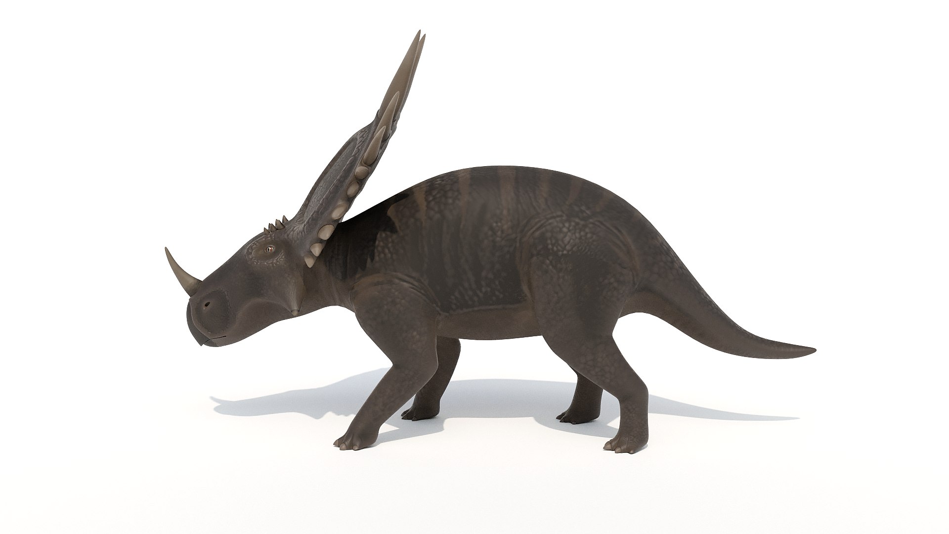 Styracosaurus 3D Model - TurboSquid 1896970