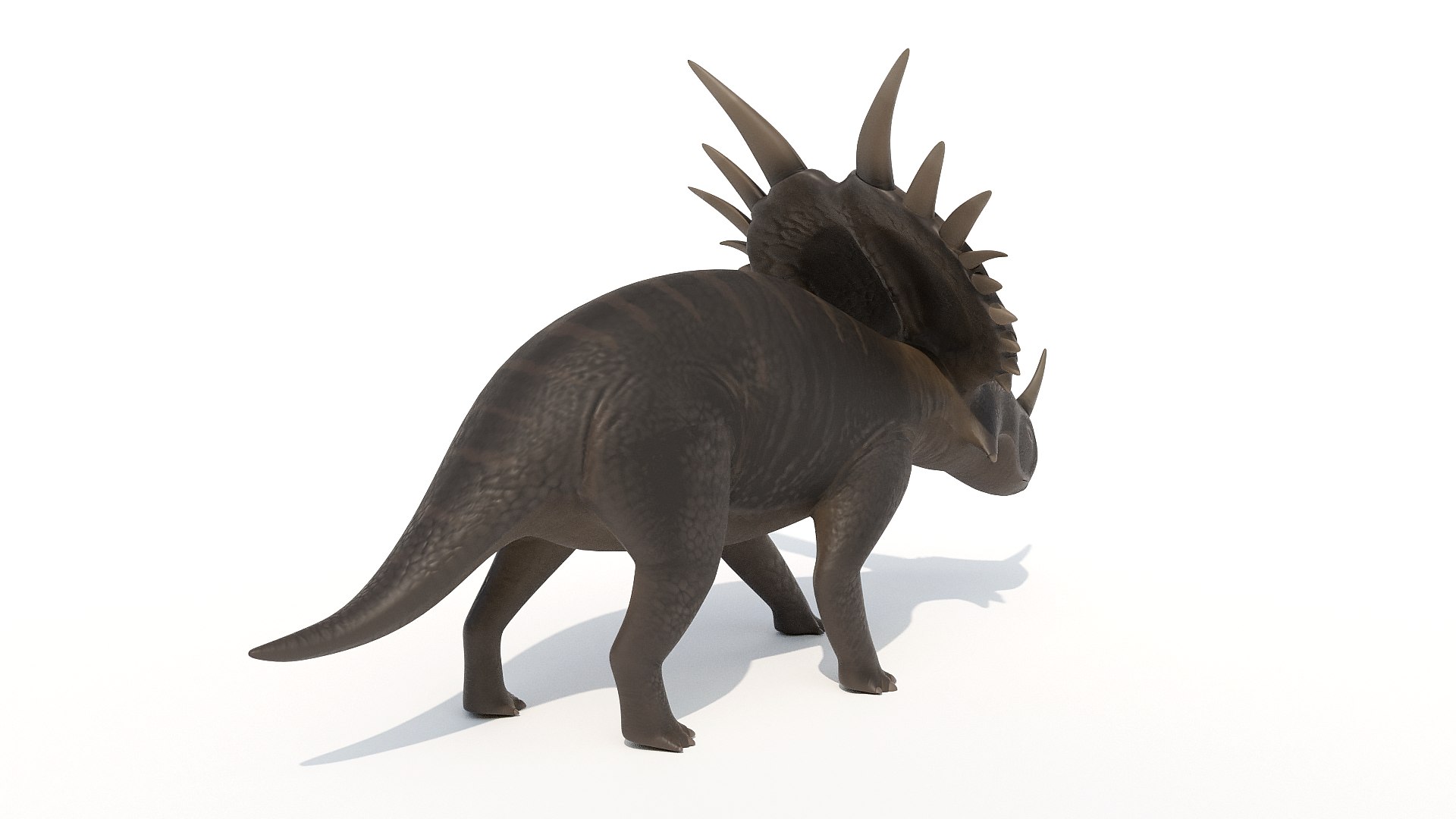 Styracosaurus 3D Model - TurboSquid 1896970