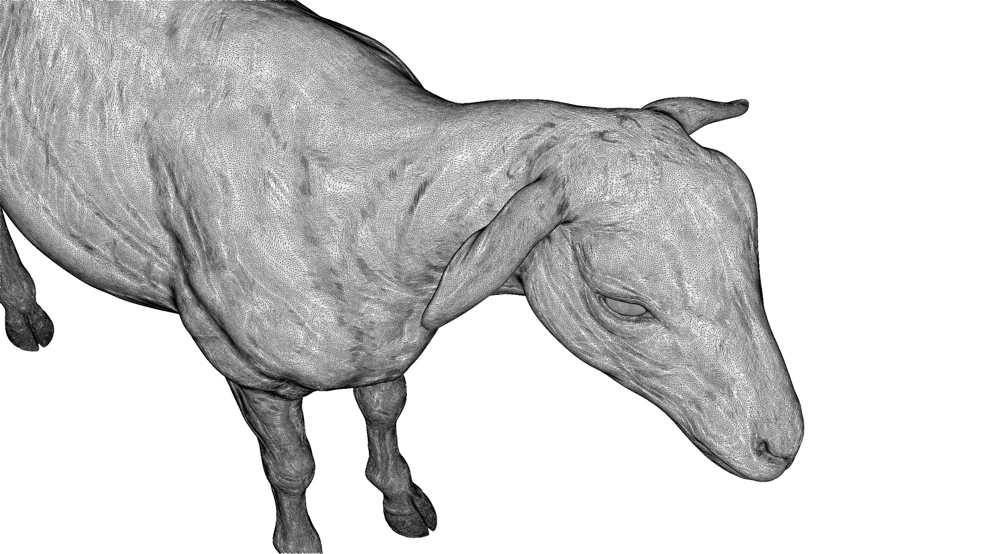 Sheep 3D Model - TurboSquid 2279078