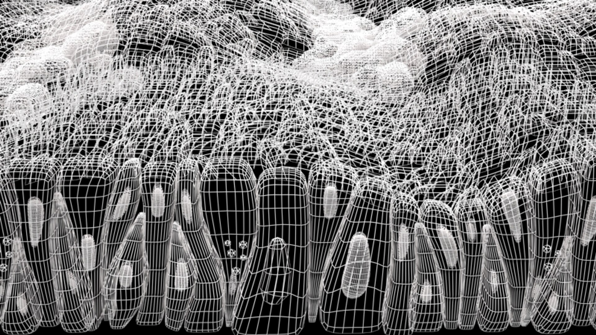 3d Nasal Cilia Model