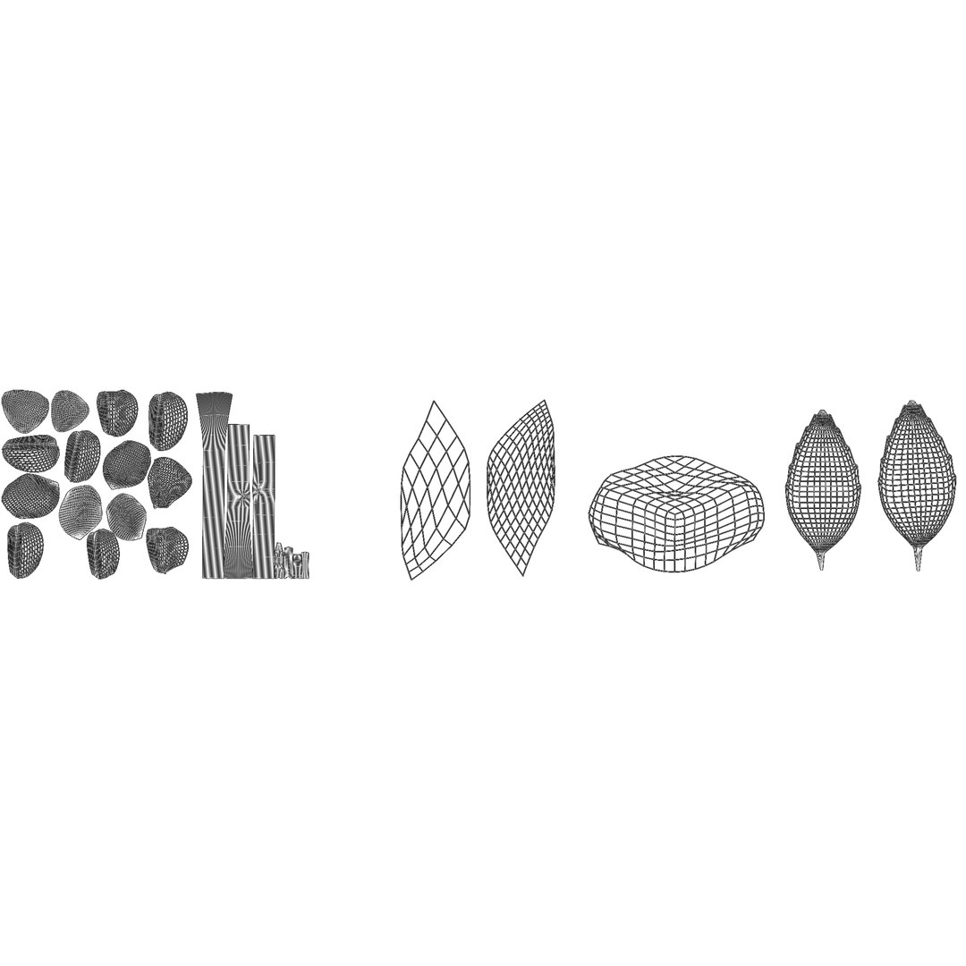 Red Rose Flower 3D Model - TurboSquid 2083197