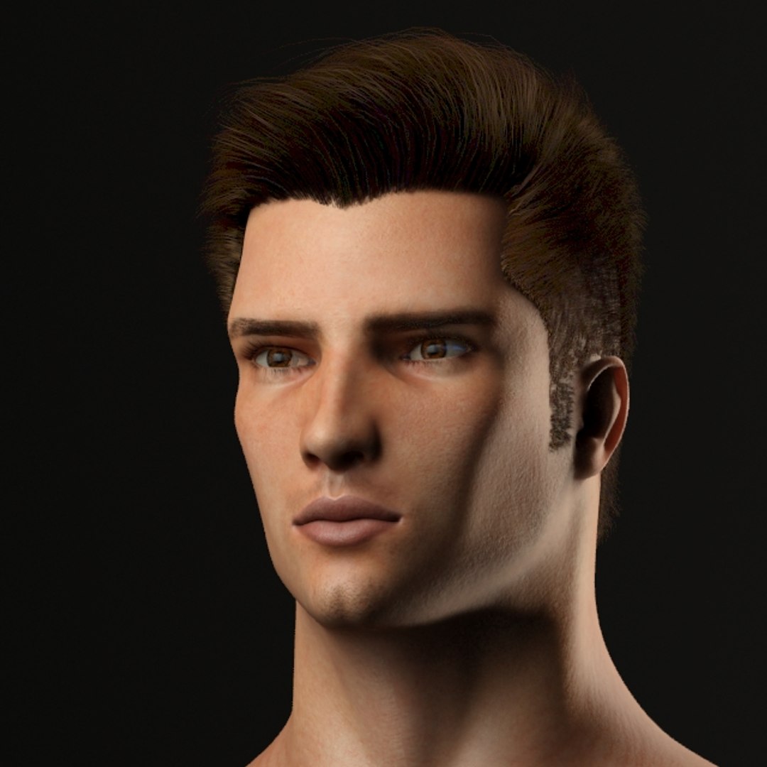 3d male head model