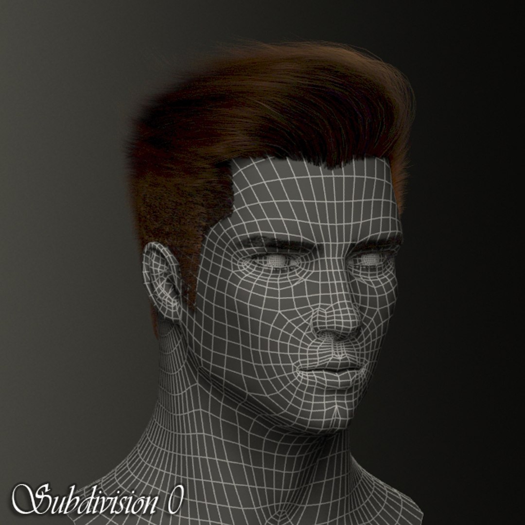 3d male head model