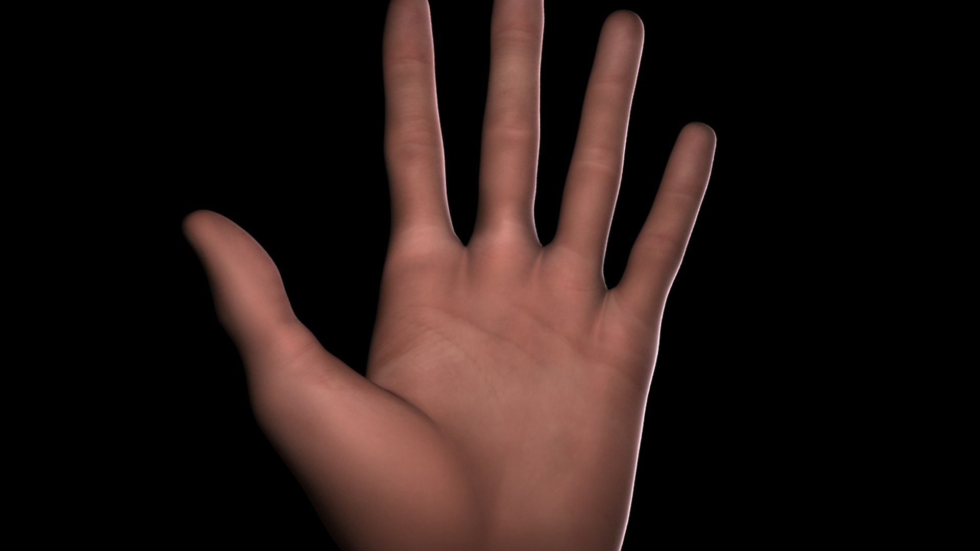 3ds Max Ready Realistic Hand
