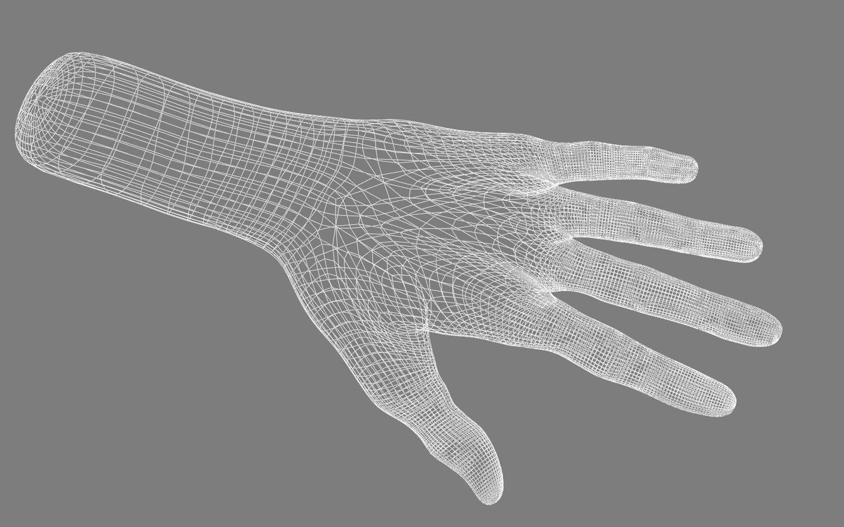 3ds Max Ready Realistic Hand