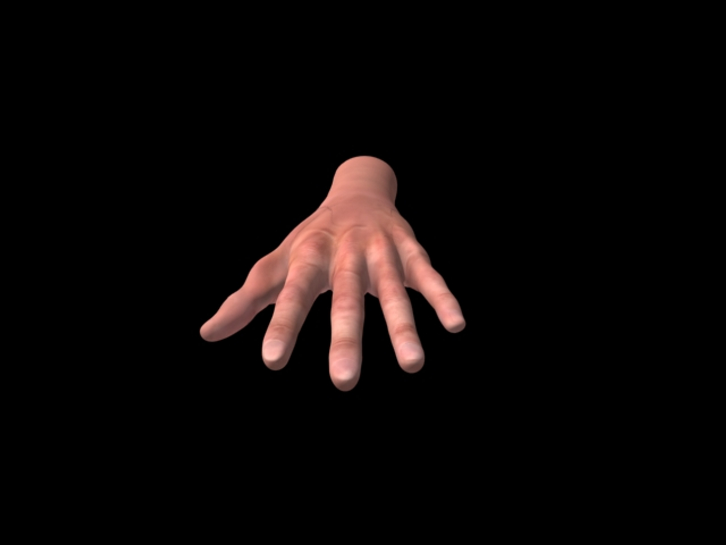 3ds Max Ready Realistic Hand