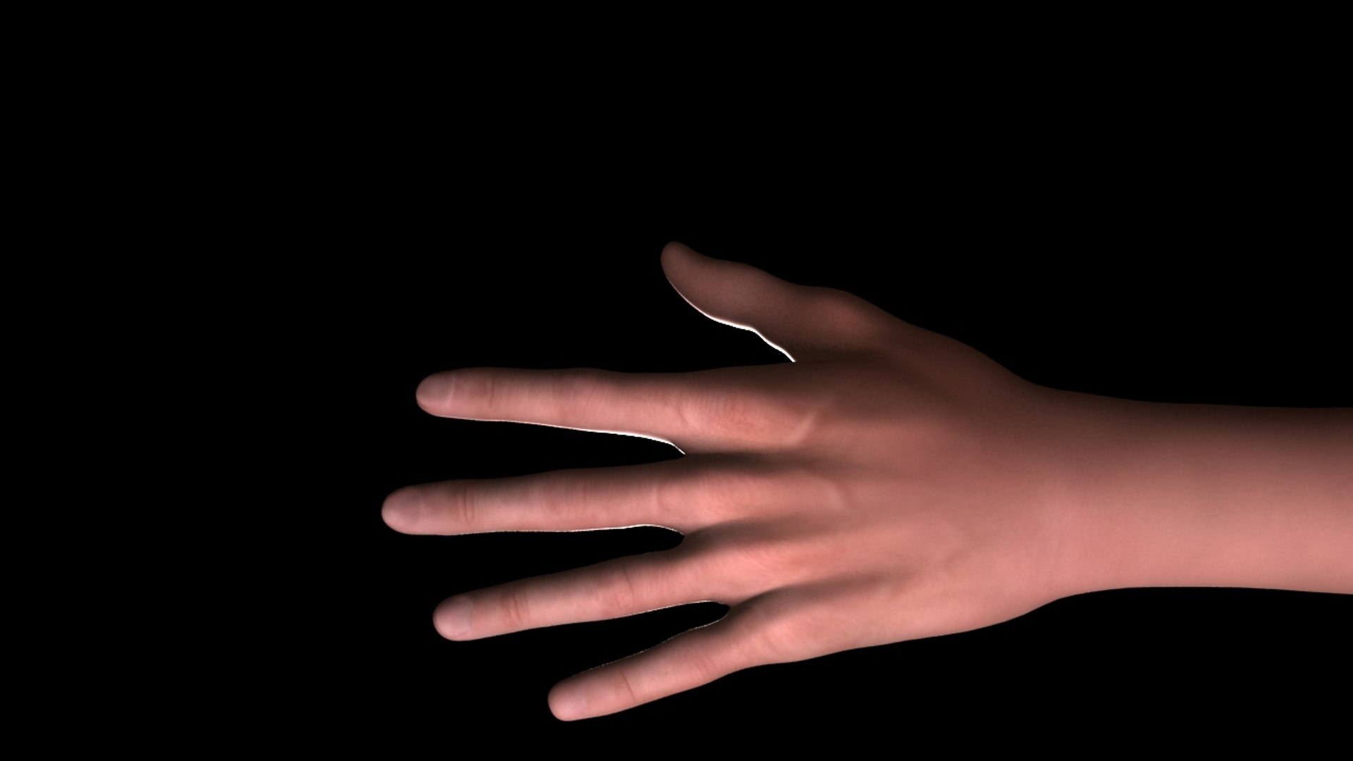 3ds Max Ready Realistic Hand