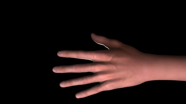 3ds max ready realistic hand
