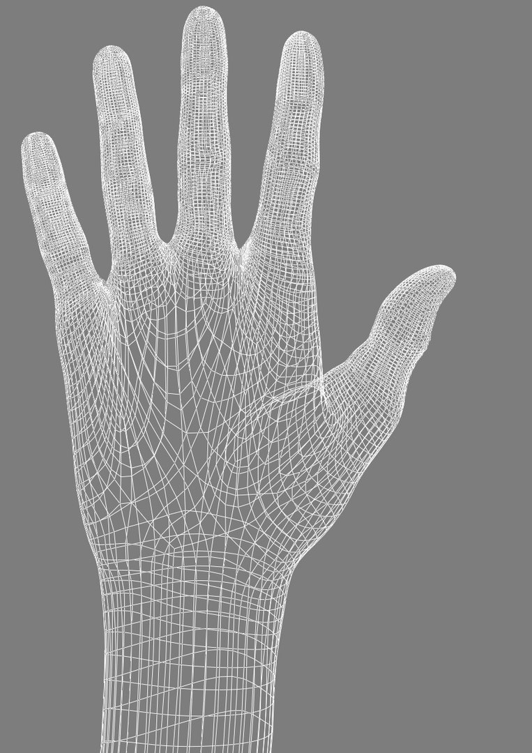 3ds Max Ready Realistic Hand