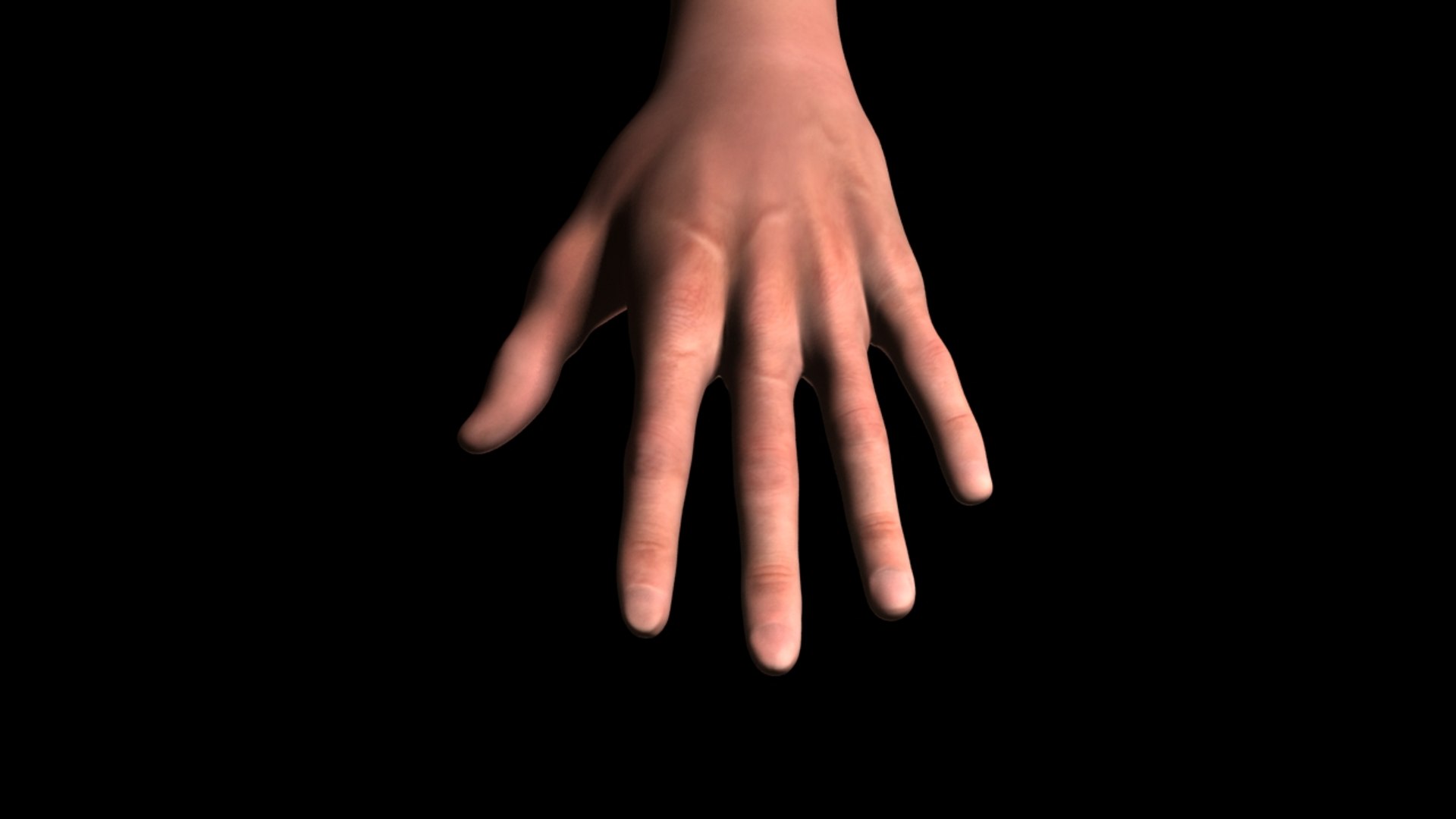3ds Max Ready Realistic Hand