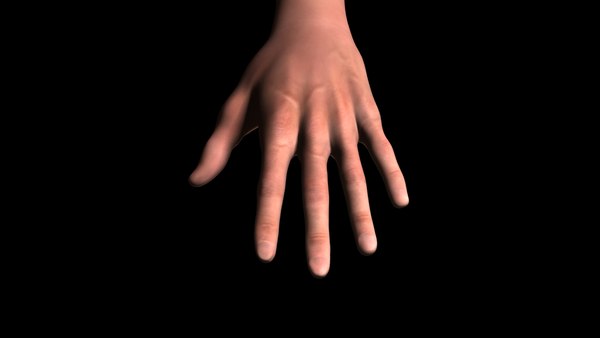 3ds max ready realistic hand