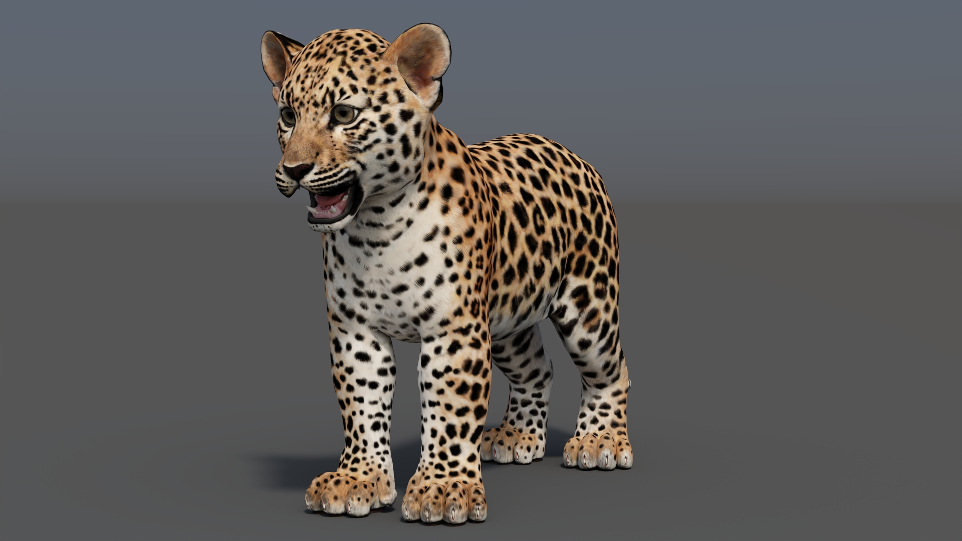 3D Leopard Cub 3D Model model - TurboSquid 2156827