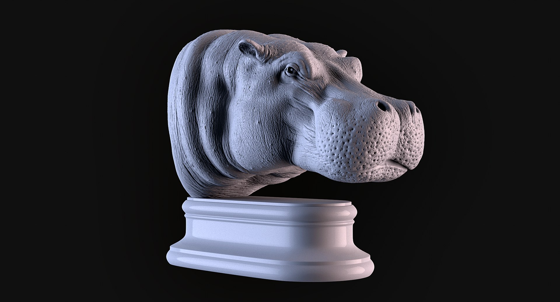 3D Hippopotamus Head Model - TurboSquid 1977693