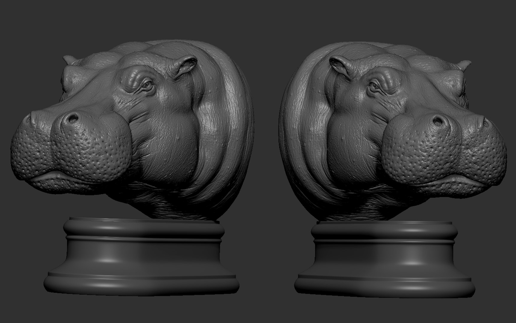 3D Hippopotamus Head Model - TurboSquid 1977693