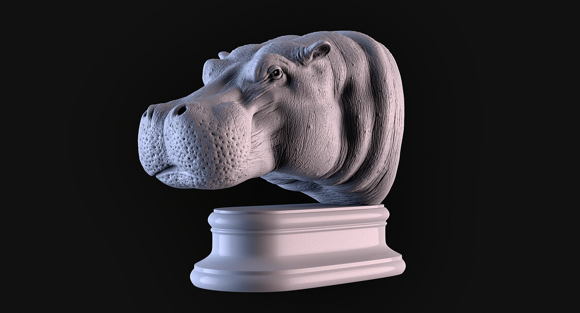 3D Hippopotamus Head Model - TurboSquid 1977693