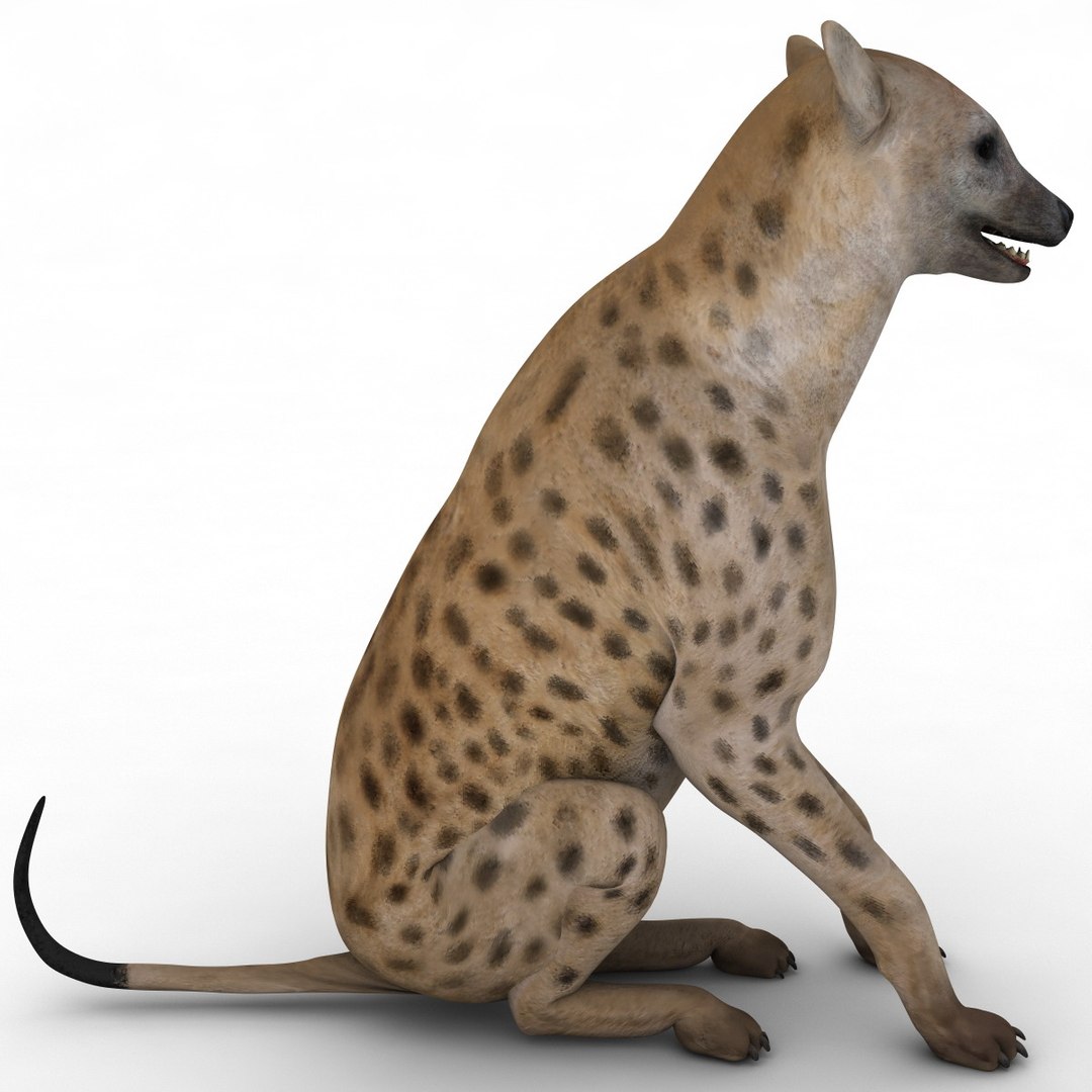 Max Hyena Pose 3