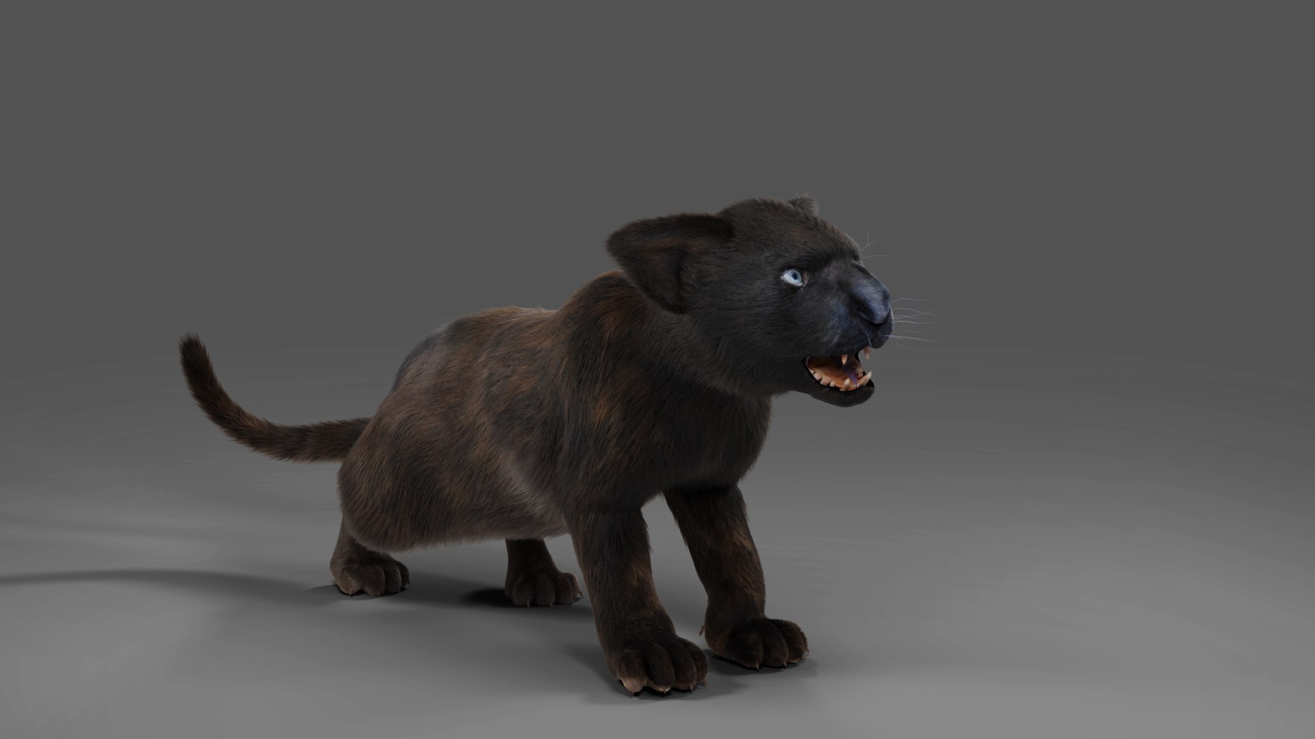 Fur Baby Black Panther Rigged And Animated In Unity Model - TurboSquid ...