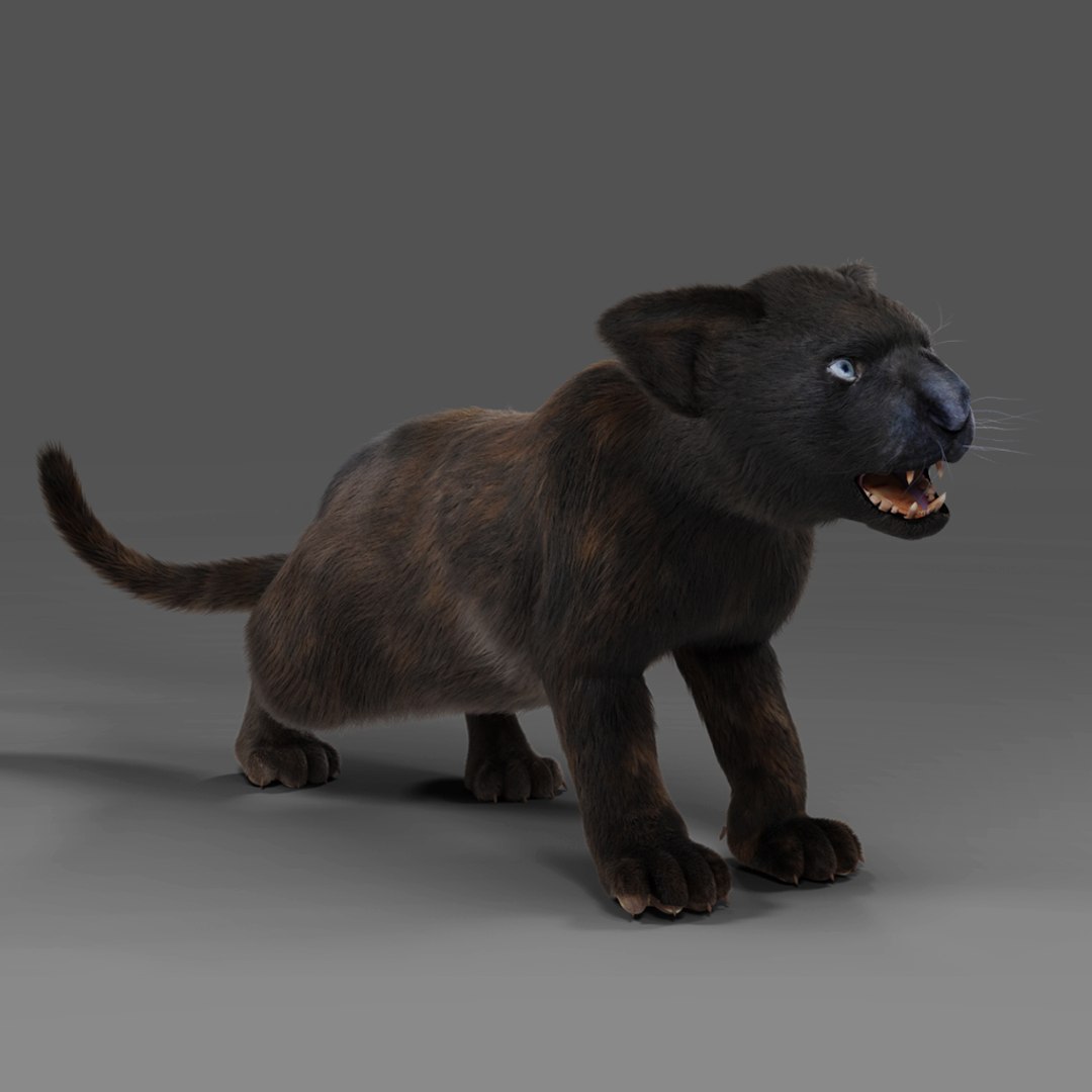 Fur Baby Black Panther Rigged And Animated In Unity Model - TurboSquid ...