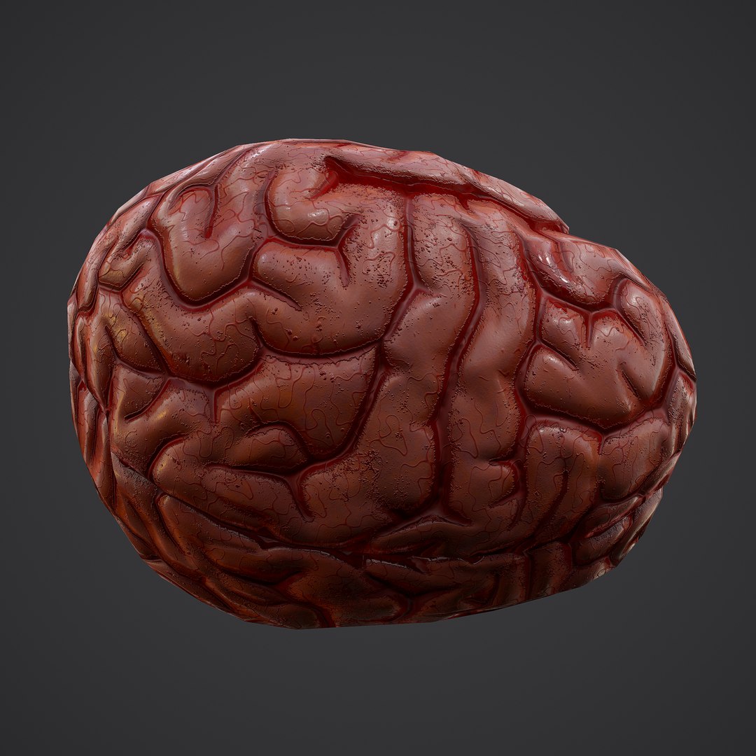 3D Human Brain - TurboSquid 1623361