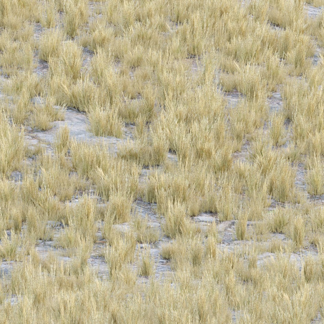 3D Low Poly 3d Wild Dry Grass Collection Vol 278-3dsmax-Blender ...
