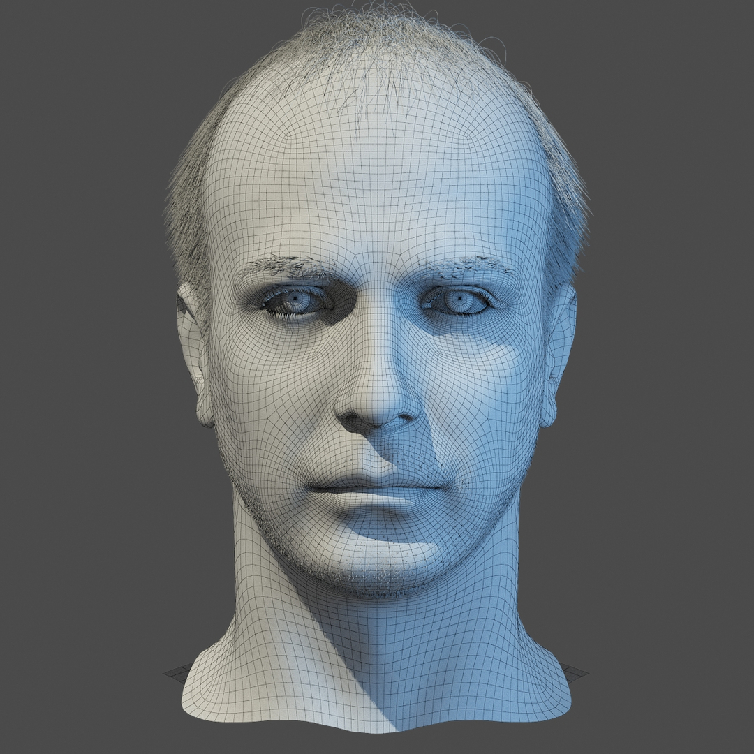 3d model realistic male head