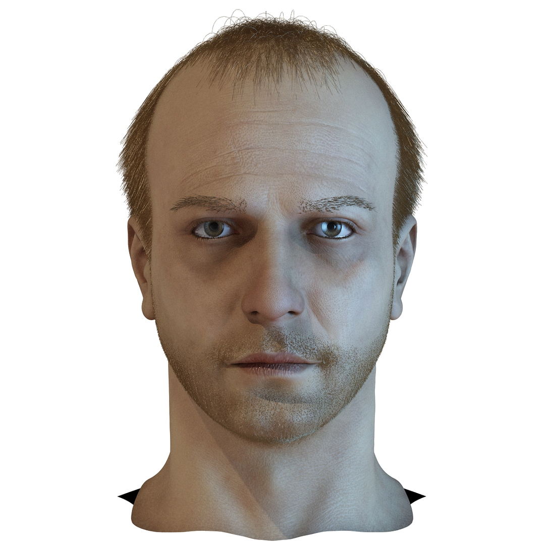 3d model realistic male head