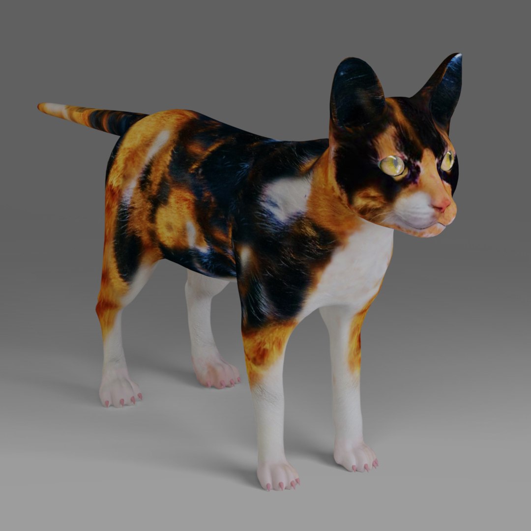 Calico Cat NO Rigged V4 Model - TurboSquid 1985492