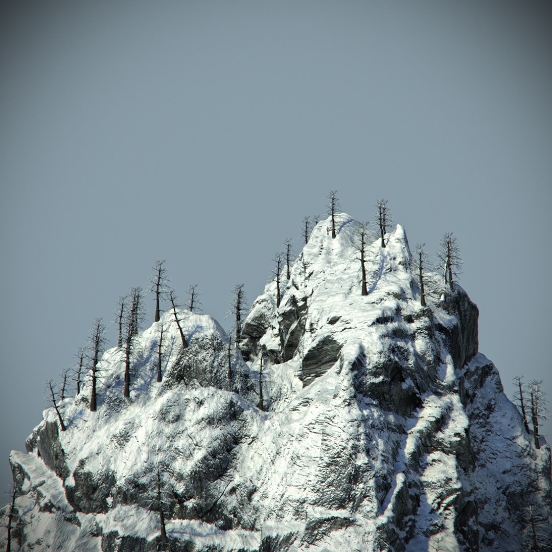 3d Model Snow Rock
