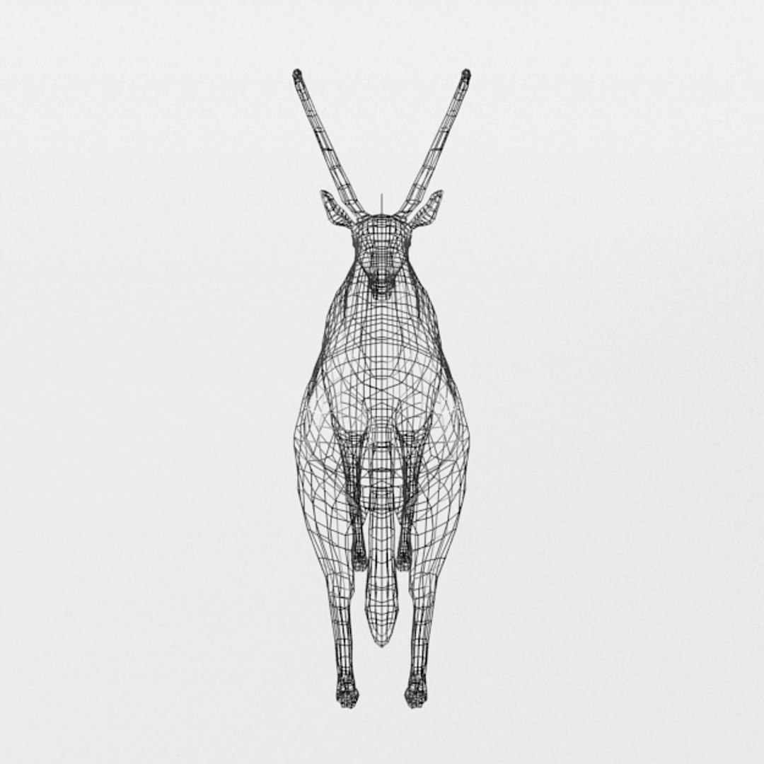 3D Sable Antelope - TurboSquid 1340924