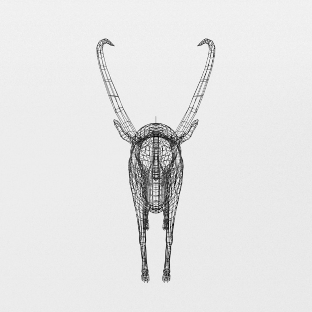 3D Sable Antelope - TurboSquid 1340924