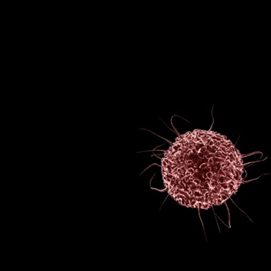 3d Cancerous Cell Model