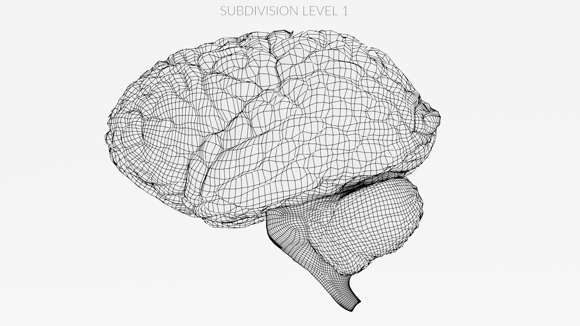 3D Realistic Brain - TurboSquid 2023925