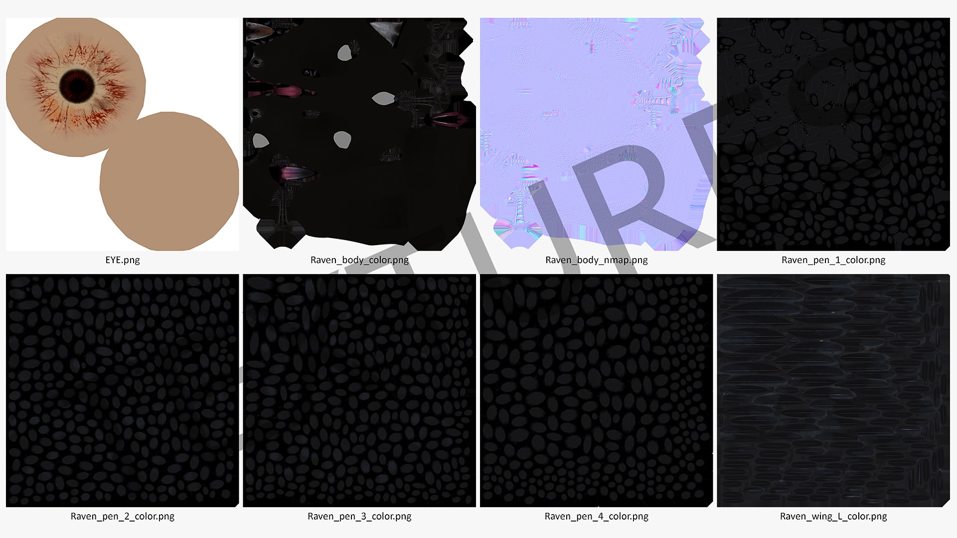 Raven landing rigged animate 3D - TurboSquid 1439277