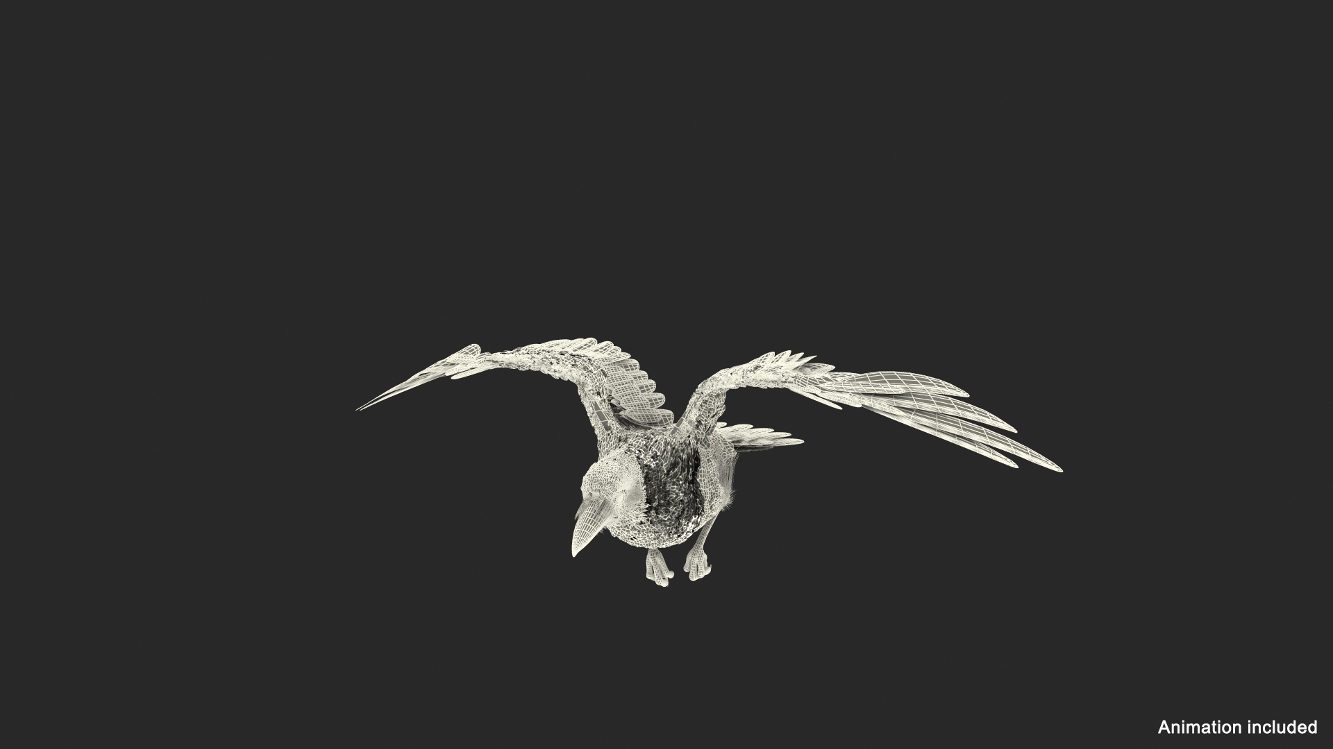 Raven Landing Rigged Animate 3D - TurboSquid 1439277
