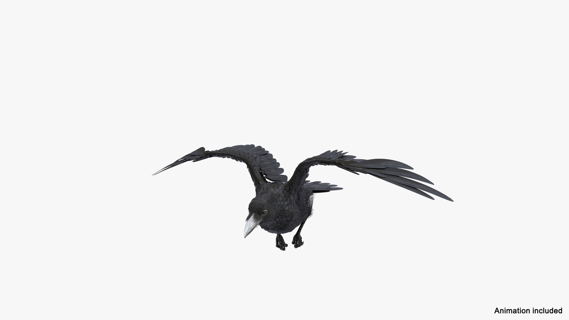 Raven Landing Rigged Animate 3D - TurboSquid 1439277
