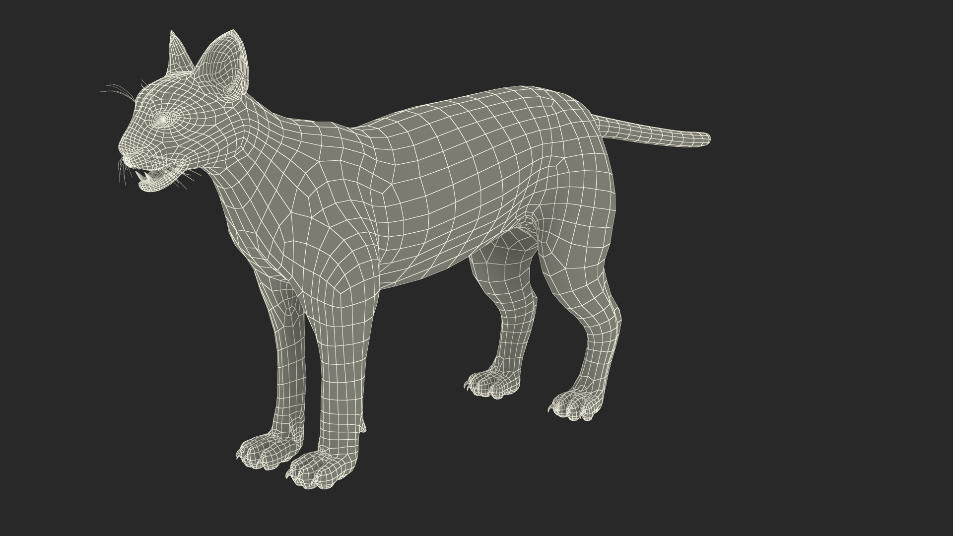 Caracal 3D Model - TurboSquid 2181787
